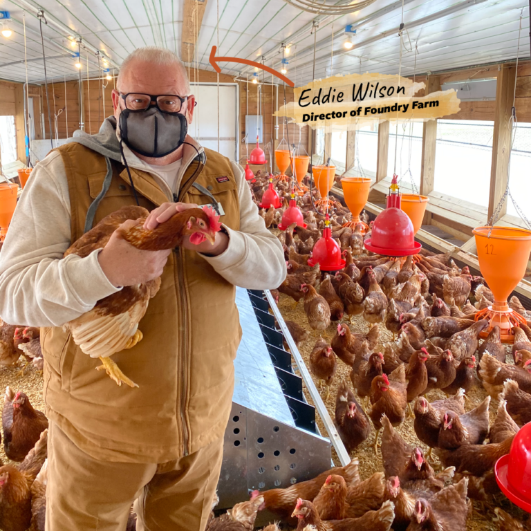 The Foundry Farm - The Foundry